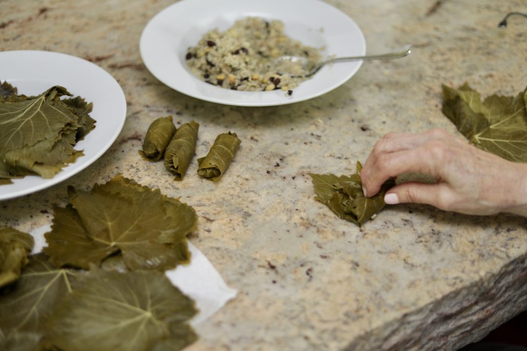 Vegetarian Stuffed Grape Leaves – Nostimo Kitchen
